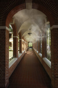 Flow States– LA TRIENAL 2024 - El Museo del Barrio