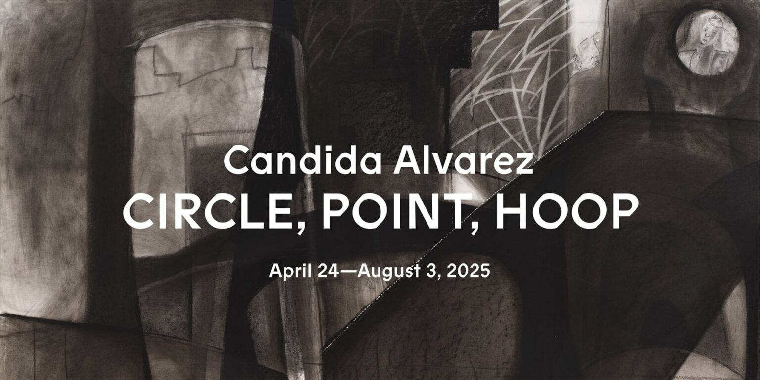 Candida Alvarez: Circle, Point, Hoop - El Museo del Barrio